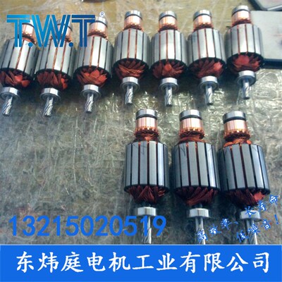 TWT电机 06SGN-20W直流减速电机 06SP  24V 90V台湾东炜庭电机