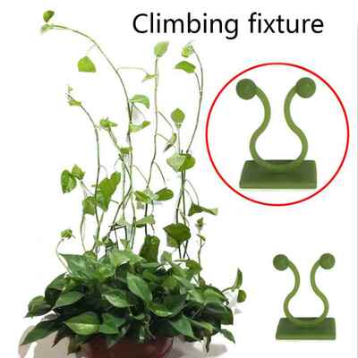 极速100pcse Plant Climbing Wall Fixture Clips Invisible Vine