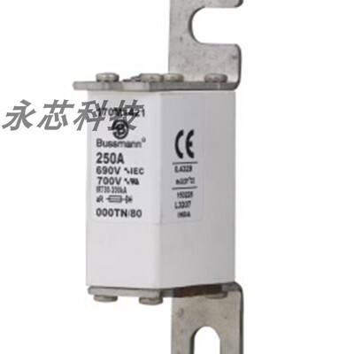 极速170M1421 现货巴斯曼熔芯熔断器低压陶瓷熔断体直Z流快速熔断