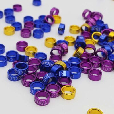 极速50 Pcs Pigeon Bands Bird 5Amm Foot Ring Species Identify