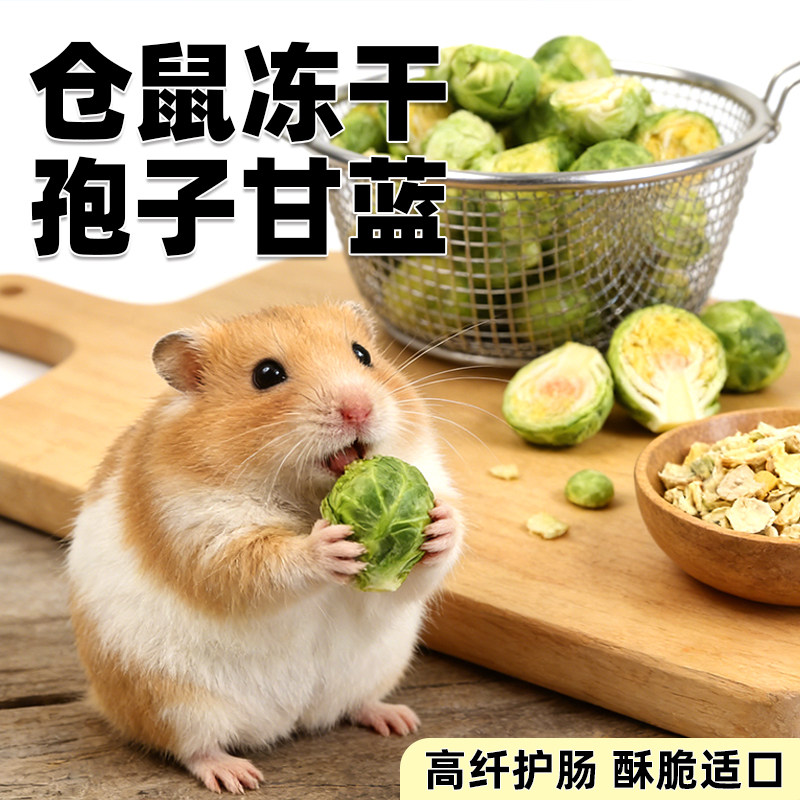 仓鼠粮冻干甘蓝金丝熊花枝鼠仓鼠荷兰猪鼠类零食小宠营养粮用品