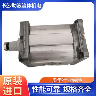 马祖奇ALPA2-D-40液压系统齿轮泵橡塑设备齿轮泵