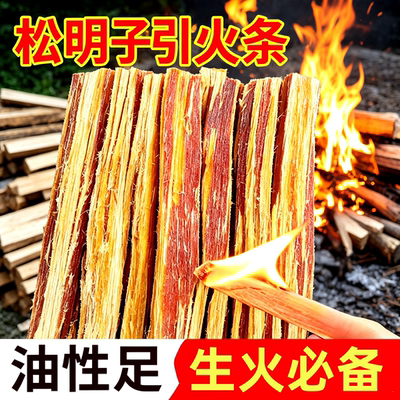 高油松明子引燃器户外露营篝火用