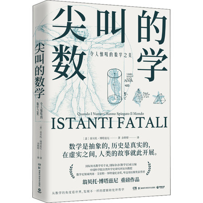 正版尖叫的数学-令人惊叹的数学之美国际知名数学史专家国际杂志数学史前主编翁贝托博塔兹尼带你从数学的角度看世界意翁贝托博塔