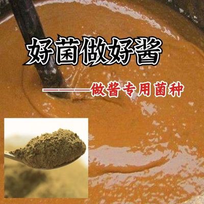 做酱专用发酵菌米曲霉菌黄豆酱发酵菌粉家用东北大酱制作方法