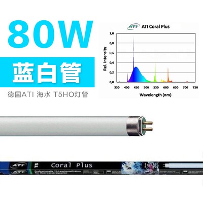 德国 T5HO 24/39/54/80W 白/蓝/荧光紫/斐济紫/蓝白灯管
