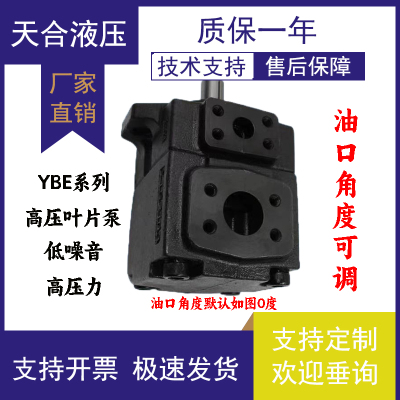 YB-E8/E16/E25/E32/E40/E50/E63/E80/E100/E125双联高压叶片泵YBE