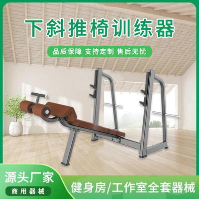 厂家现货运动健身房训练器材下斜推椅豪华商用下斜卧推举架