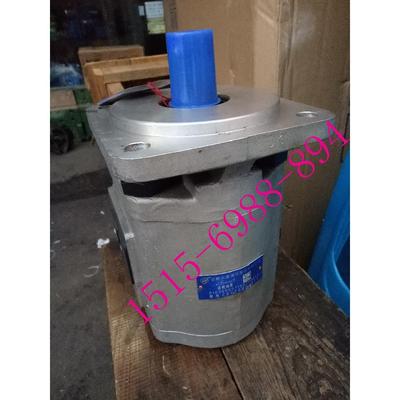 原装CBG-2100合肥集源液压齿轮油泵CBG2100-BFPL BFH BFX合肥集源