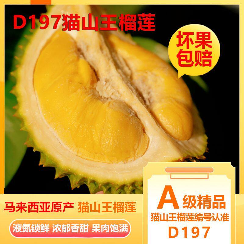 特价D197正宗猫山王榴莲马来西亚进口液氮锁鲜冷冻树熟整果带壳