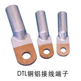 凤凰DTL-185mm平方纯铜鼻子线鼻子铜端子铜接线端子B级国标铜铝