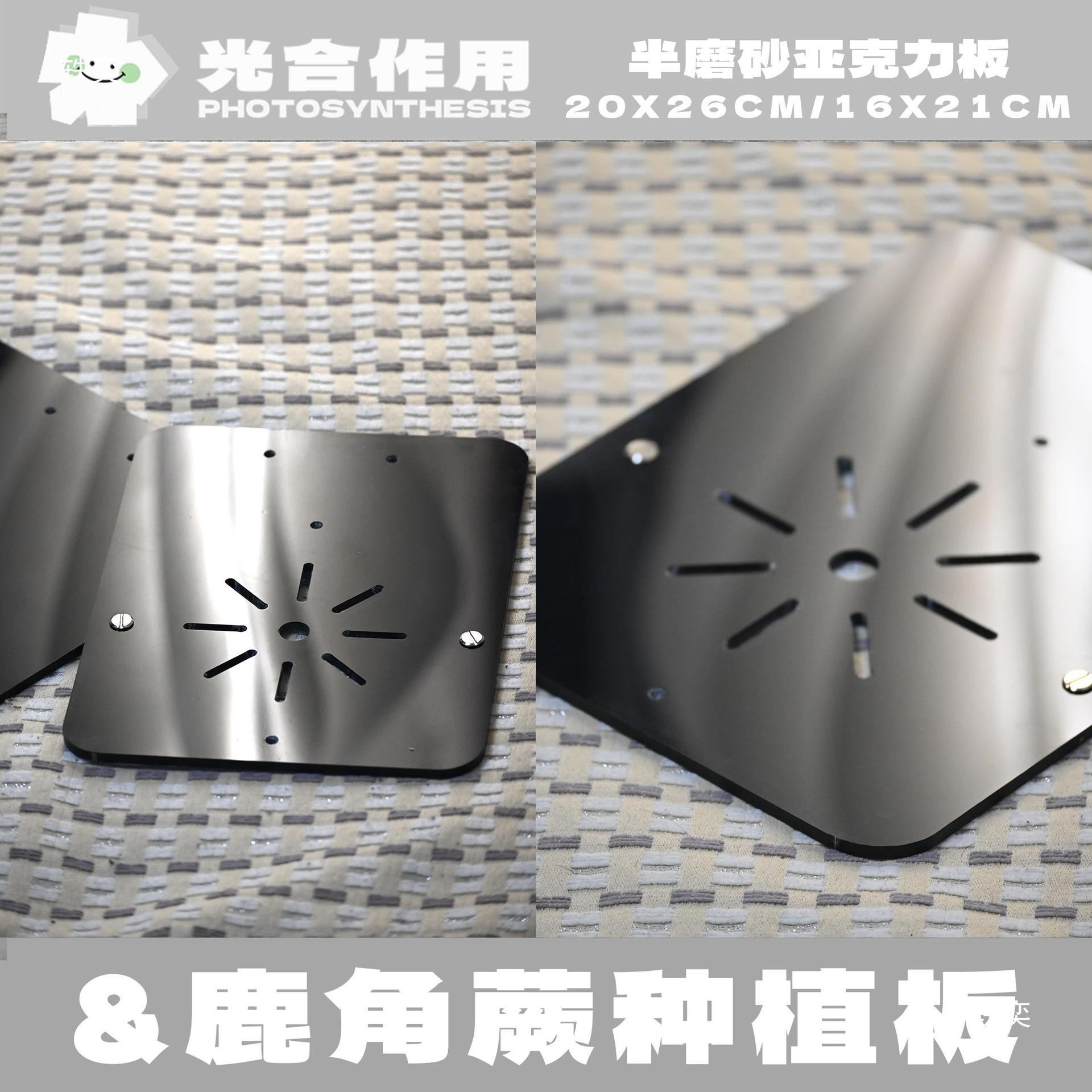 亚克力鹿角蕨挂板定植板热植上板蕨类石斛附生兰育苗板花盆机械
