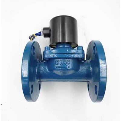 铸钢法兰电磁阀膜片式法兰走水电磁阀水阀220V24VDN50 65 80 100