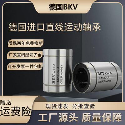 德国BKV5直线6轴承LM8 10 12 13 16 20 25 30 35 40UU进口滚针