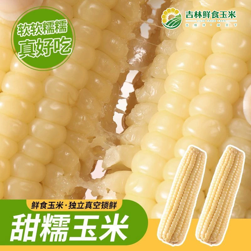 壮状谷东北白糯玉米粘糯玉米棒新鲜甜玉米粒粘舔糯早餐代餐