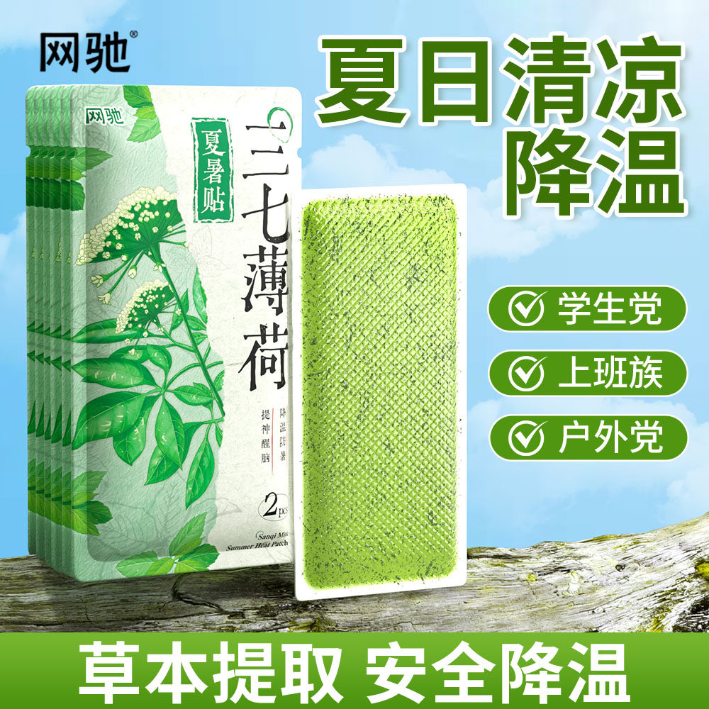 网驰 冰贴夏季物理降温冰凉贴学生军训必备冰敷降温冰贴清凉冰爽