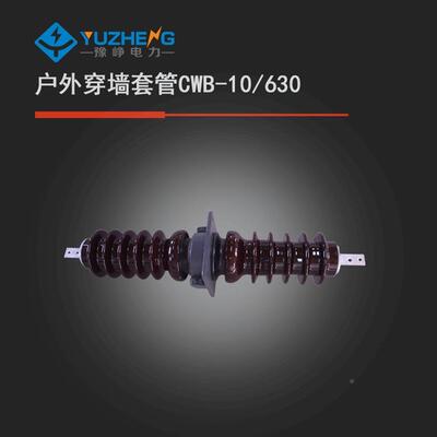 CWW-CWC-5KV/150.0A-2000A-4000A户外3高压穿墙套管AYL405防KV陶
