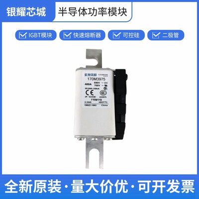 巴斯曼170M3975限流熔断器22+