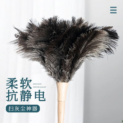 。鸵鸟毛掸子静电除尘清洁鸡毛掸长柄车载家用钢琴古玩玉器摆件扫