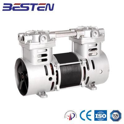 厂家销售无油静音空压机头实验室高品质出口欧美BST300AF-BSAC220
