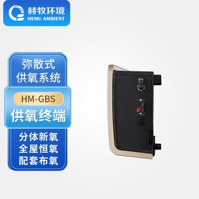弥漫型布氧终端平原补充制氧挂机变压吸附HM-GBS厂家