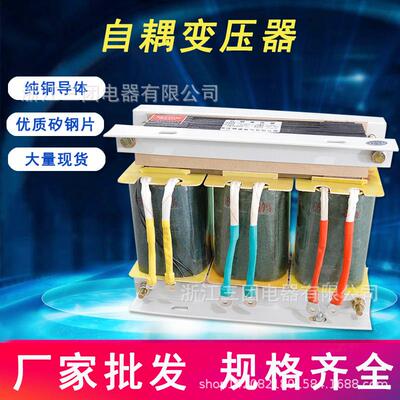 自耦减压变压器QZB-40KW三相电机启动变压器异步电动机降压变压器