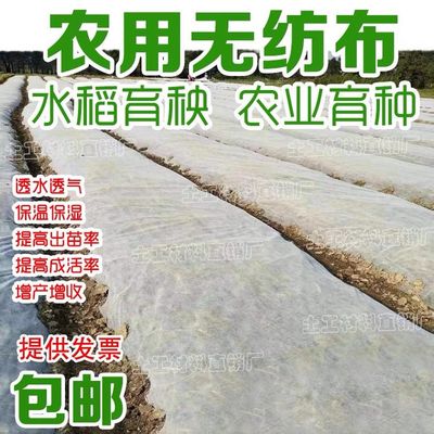 水稻育苗无纺布整卷建筑