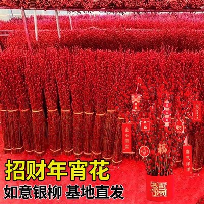 速发银柳真花米枝年宵花卉七财彩大红色银柳干花柳枝水养装饰招多