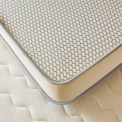 新款针织棉乳学胶床32409垫加厚记忆棉床家用不垫塌陷生宿舍榻榻