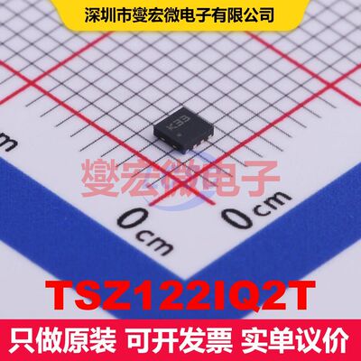 TSZ122IQ2T DFN-8-EP(2x2) 仪器放大器 线性 集成芯片IC