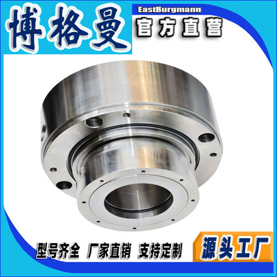 博格曼机械密封件aH2B253-H75N/1100-G115-E1集装式机械密封电厂