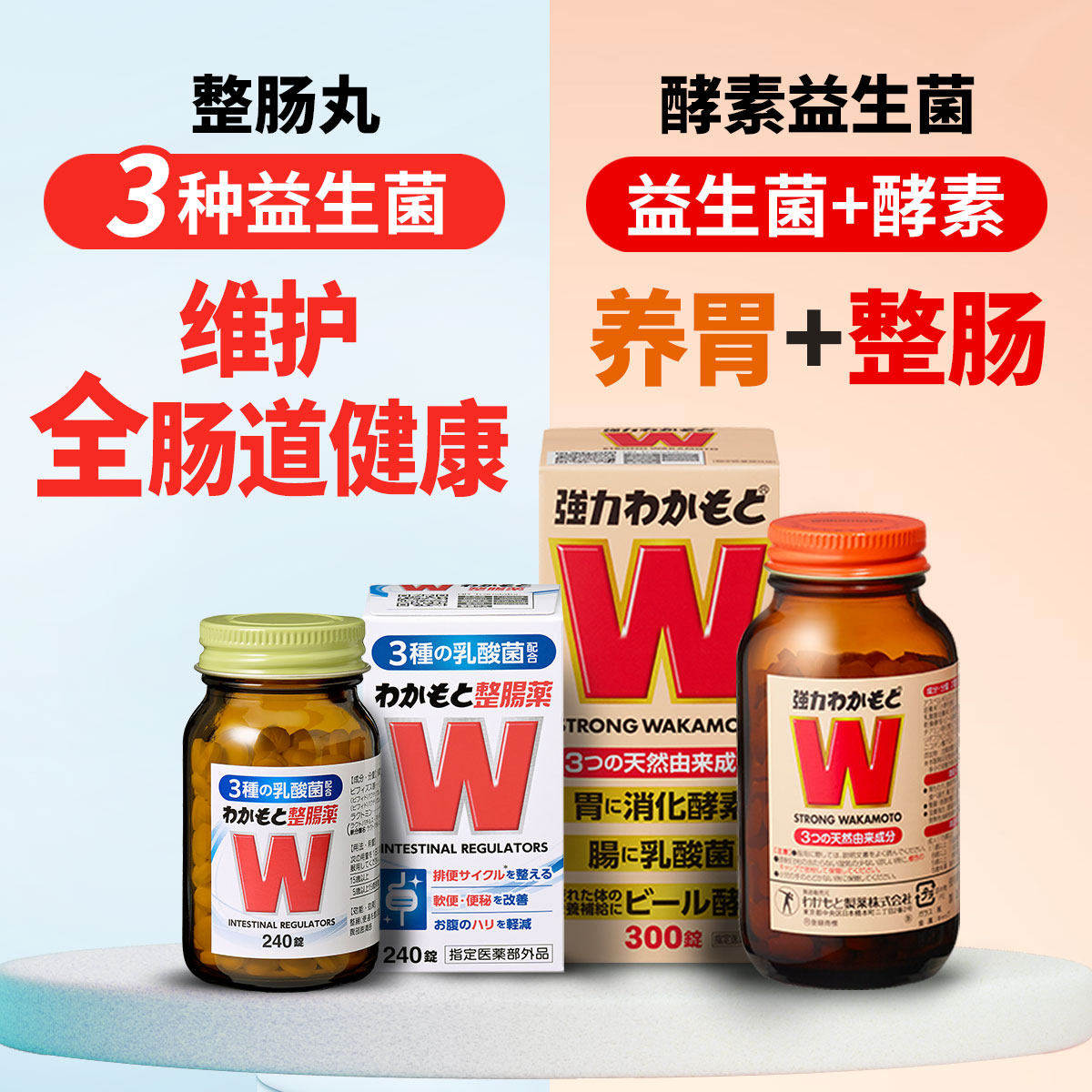 WAKAMOTO整肠丸240粒 + 乳酸菌酵素丸300粒组合装