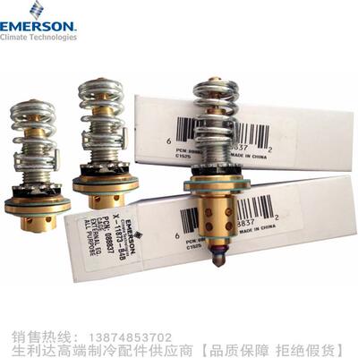 EMERSON/艾默生大容量THR热力膨胀阀芯X-9144-B10 11 13B