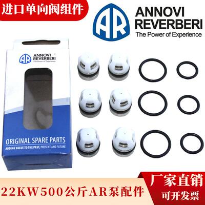 进口单向阀组件意大利AR泵头22KW500公斤阀球阀座密封圈专业配件