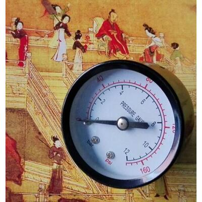 背接式(轴向)压力表 Y-50Z 0-160psi 0-12bar pressuregauge 50mm