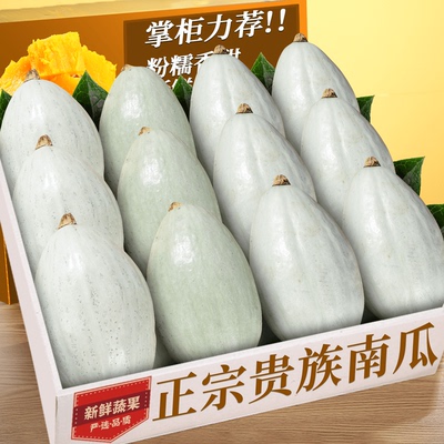 新疆贵族南瓜！粉面细腻新鲜现摘