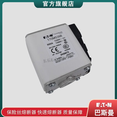 170M5394 5395 5396 5397 5398 巴斯曼bussmann快速熔断器保险丝