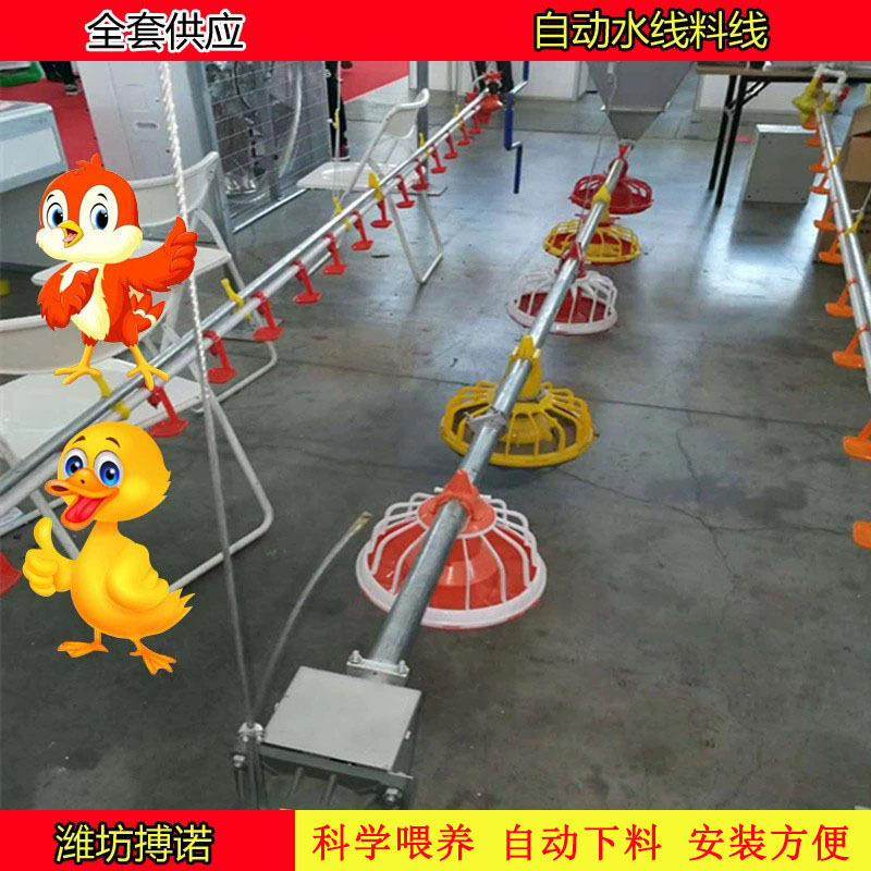畜牧养殖设备自动料线水线山东料线厂家自动上料机投料机鸡喂食器