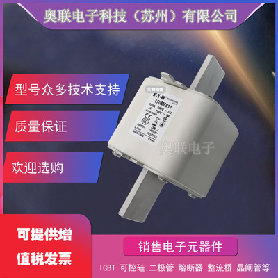 巴斯曼熔断器保险丝170M5197-520