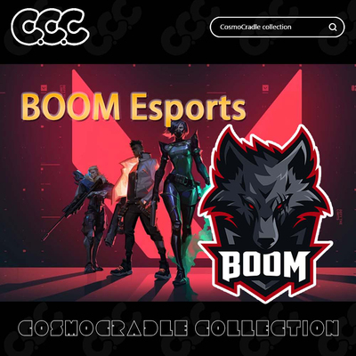 VALORANT Champions 战队队标 BOOM Esports
