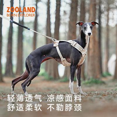 ZOOLAND狗狗胸背牵引绳遛幼小中大型犬泰迪柯基比熊边牧博美链子