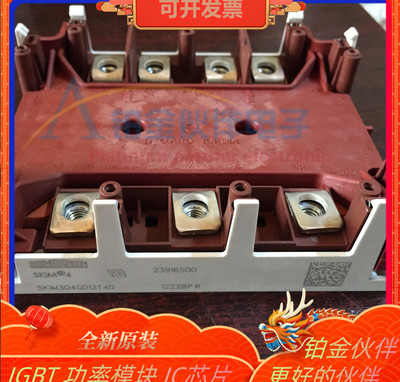 SKIM304GD12T4D SKIM304GD128D SKIM401GD128D SKIM455GD12T4DM1