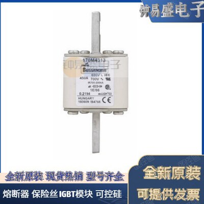 BUSSMANN低压熔断器170M5696  170M5697 170M5698 巴斯曼熔断器
