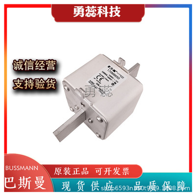 保险丝熔断器     170M4659    170M4660     170M4661