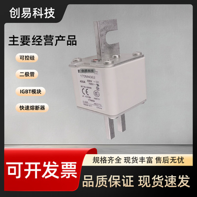 170M4064 170M4065 170M4066 170M4067 170M4068 170M4069保险丝.