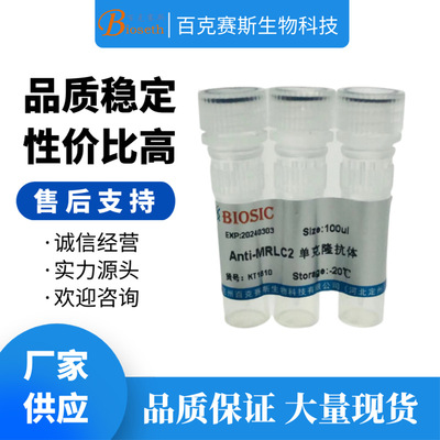 Anti-MRLC2 Monoclonal antibody 实验用单克隆抗体