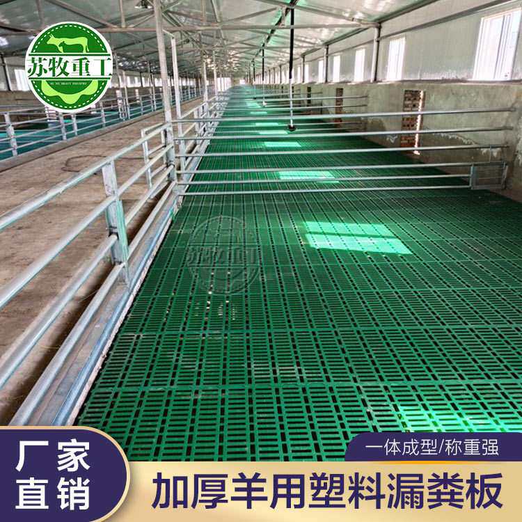 苏牧重工养殖设备原生料环保塑料羊床600型漏粪板可拼接环保材质