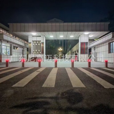 尼高迈电动升降成品车挡学校展览馆全密封免排水自动升降液压路桩