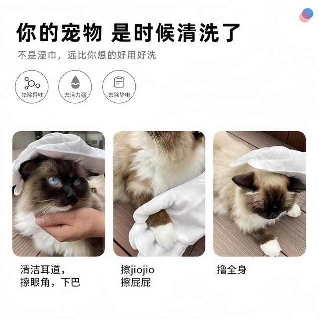 棉小牛宠物湿巾手套猫狗洗澡干洗清洁手套宠物洗澡