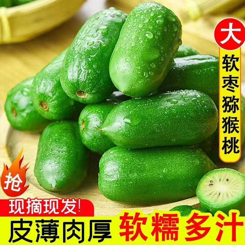 顺丰包邮软枣猕猴桃鲜果现摘青皮奇异莓新鲜拇指弥猴桃东北软枣子